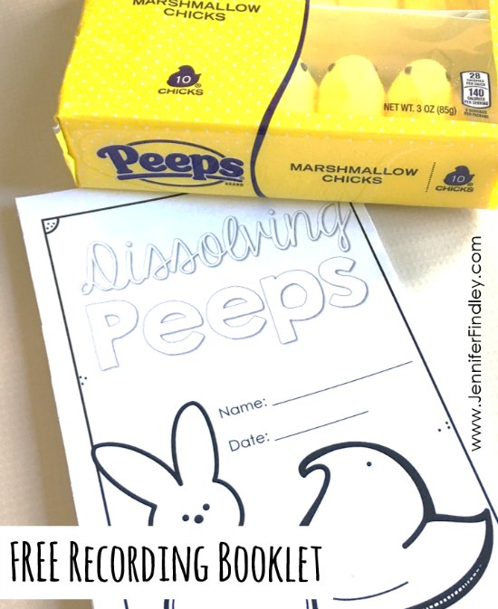 Spring Activities For Upper Elementary Teaching With Jennifer Findley