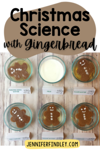 Christmas Science Experiment | Dissolving Gingerbread Cookies ...