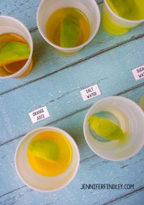 Apple Oxidation Science Experiment with FREE Science Reading Activity ...