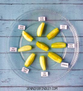 Apple Oxidation Science Experiment with FREE Science Reading Activity ...