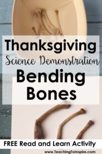 Thanksgiving Science Activity | Bending Bones