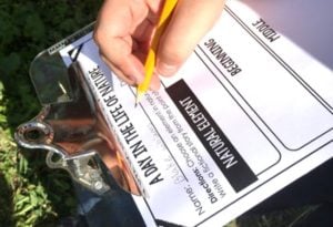 Outdoor Learning Activities for Upper Elementary - Teaching with ...