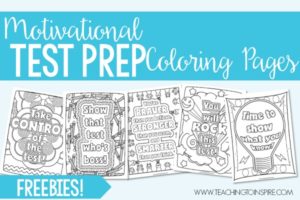 Test Prep Archives - Teaching with Jennifer Findley