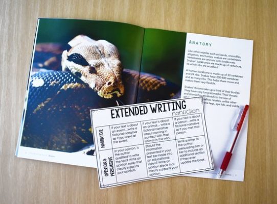 Write About Reading Ideas for Upper Elementary