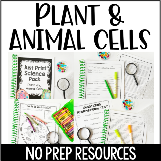Edible Animal Cells - Teaching with Jennifer Findley