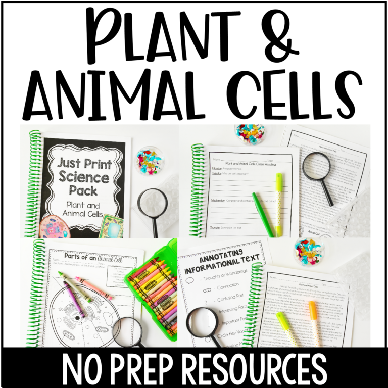 Edible Animal Cells - Teaching with Jennifer Findley