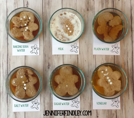 Christmas Science Experiment | Dissolving Gingerbread Cookies ...