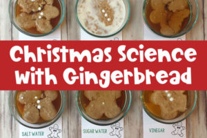 Science & Social Studies Archives - Teaching with Jennifer Findley