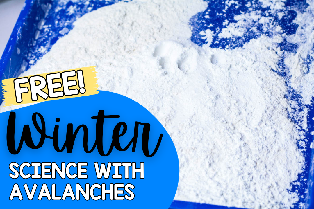 Science & Social Studies Archives - Teaching with Jennifer Findley