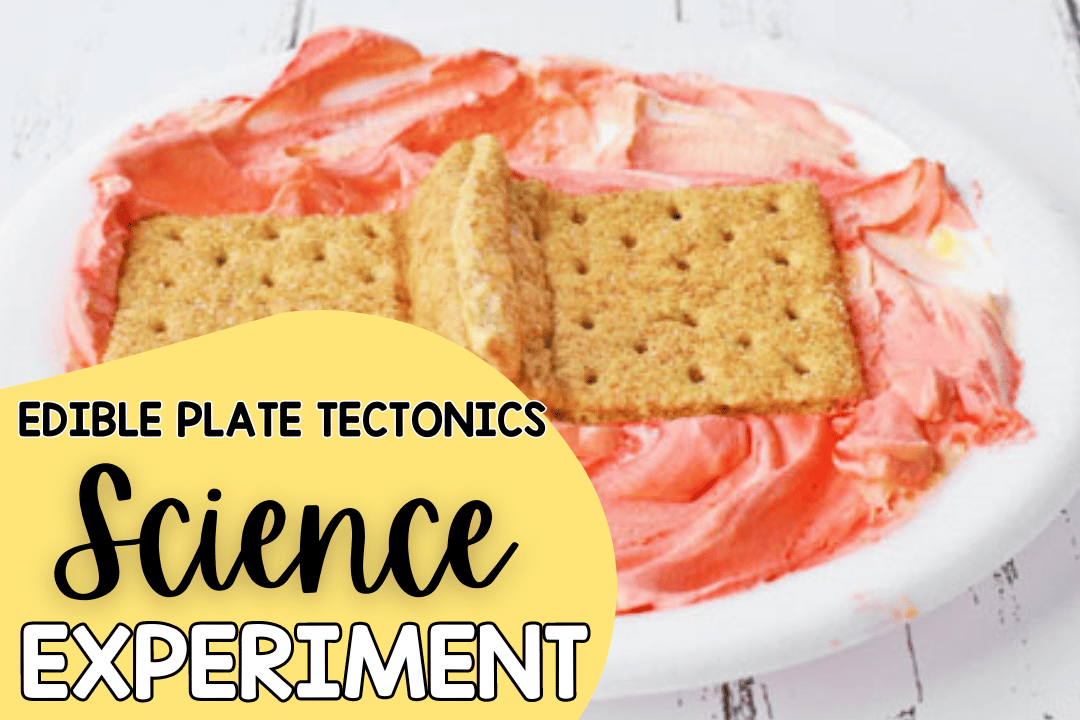 Edible Plate Tectonics Science Activity