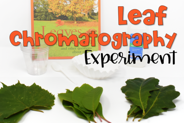 Practical ideas and resources to inspire both you and your students ...