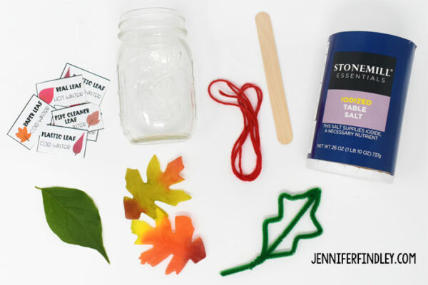 Leaf Salt Crystal Experiment
