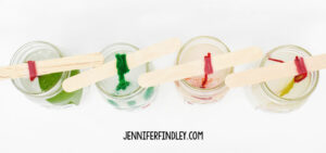 Leaf Salt Crystal Experiment